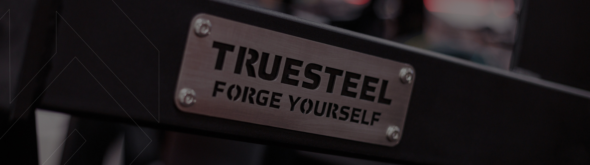 Rowing machines TRUESTEEL & StrongGear