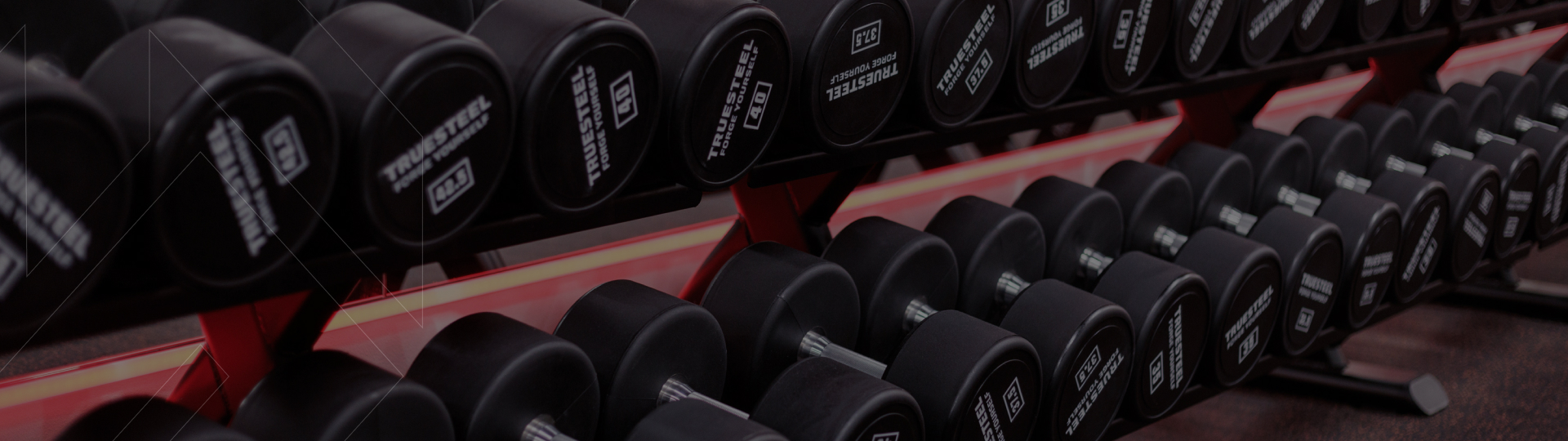 Biceps bars TRUESTEEL & StrongGear